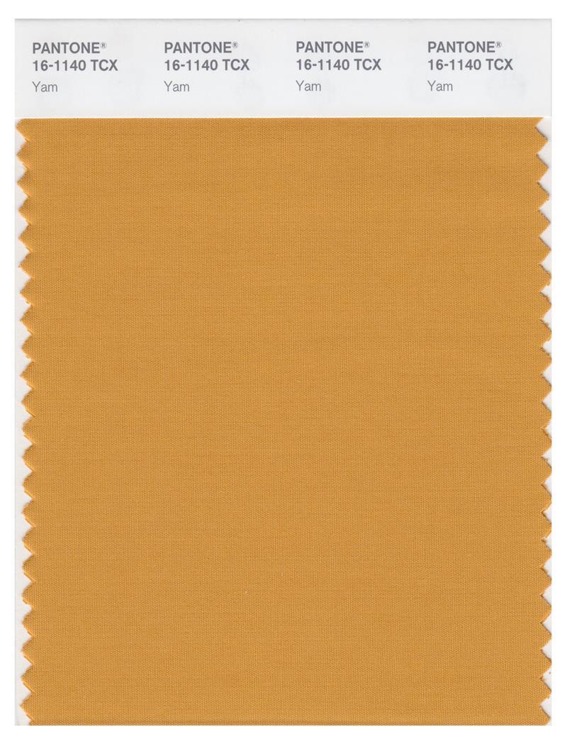 Pantone Smart 16-1140 TCX Color Swatch Card | Yam | Magazine Cafe Store ...