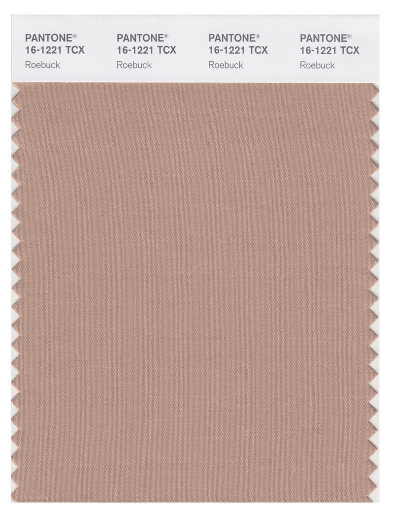 Pantone Smart 16-1221 TCX Color Swatch Card | Roe Buck | Magazine Cafe ...