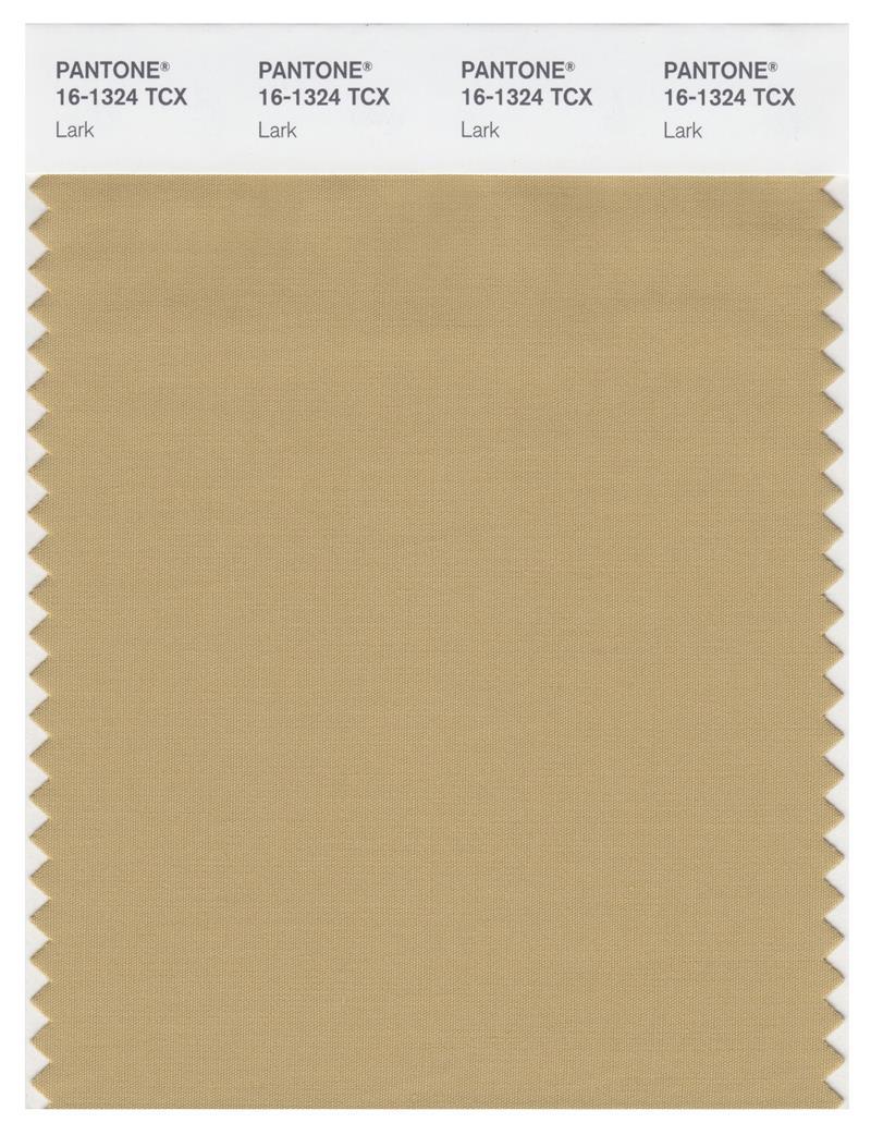 Pantone Smart 16-1324 TCX Color Swatch Card | Lark | Magazine Cafe ...