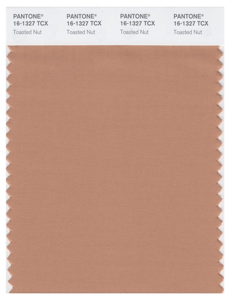 Pantone Smart 16-1327 TCX Color Swatch Card | Toasted Nut | Magazine ...