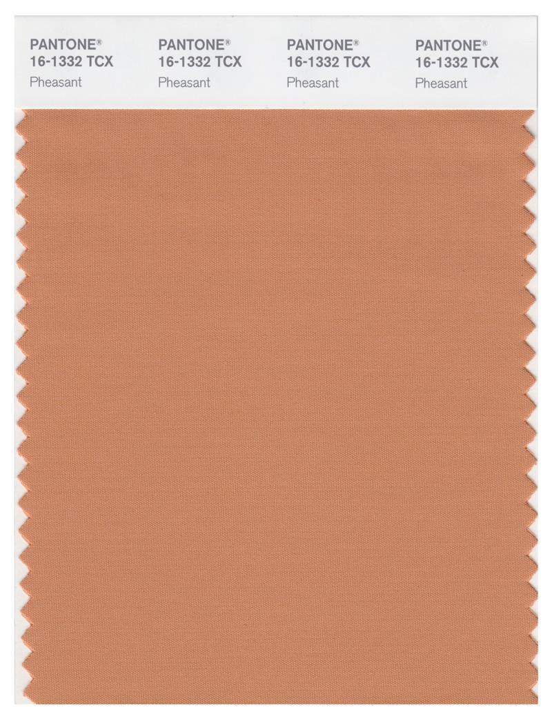 Pantone Smart 16-1332 TCX Color Swatch Card | Pheasant | Magazine Cafe ...