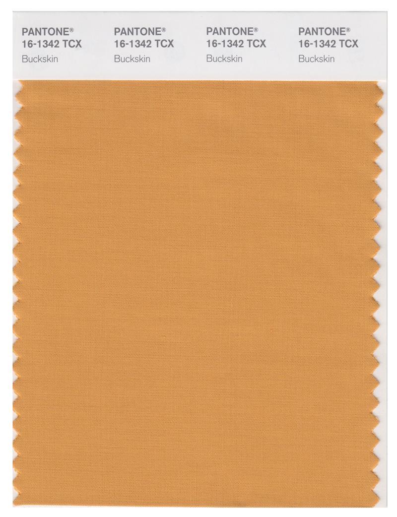 Pantone Smart 16-1342 TCX Color Swatch Card | Buckskin | Magazine Cafe ...