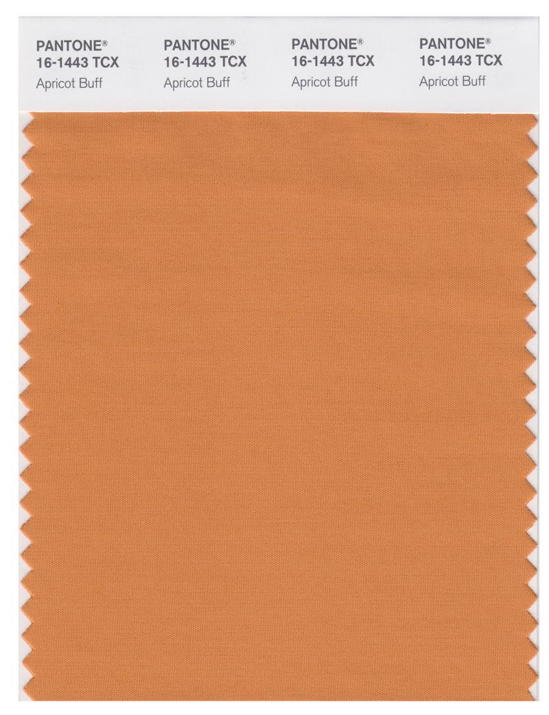 Pantone Smart 16-1443 TCX Color Swatch Card | Apricot Buff | Magazine ...