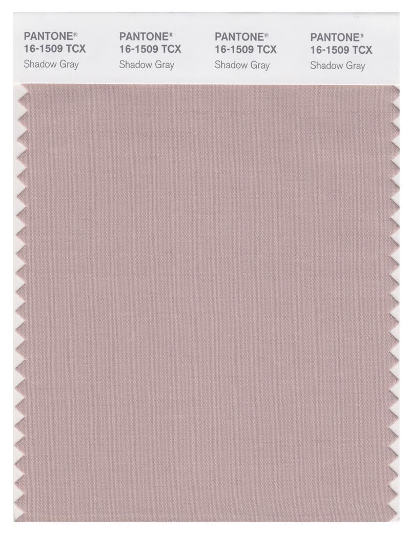 Pantone Smart 16-1509 TCX Color Swatch Card | Shadow Gray | Magazine ...