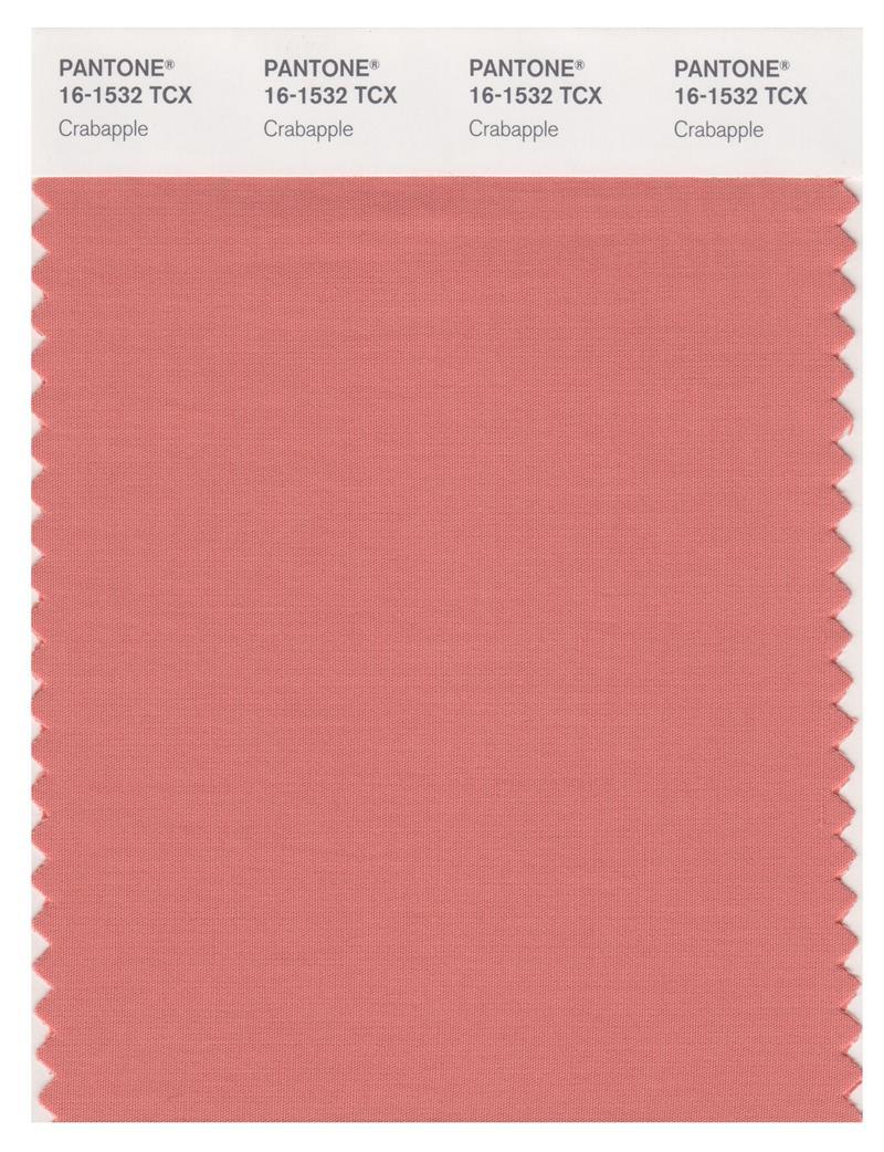 Pantone Smart 16-1532 TCX Color Swatch Card | Crabapple | Magazine Cafe ...