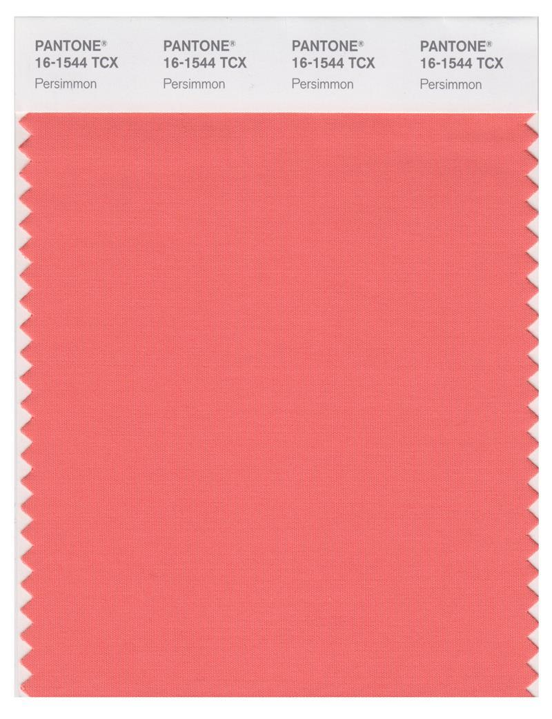 Pantone Smart 16-1544 TCX Color Swatch Card | Persimmon | Magazine Cafe ...