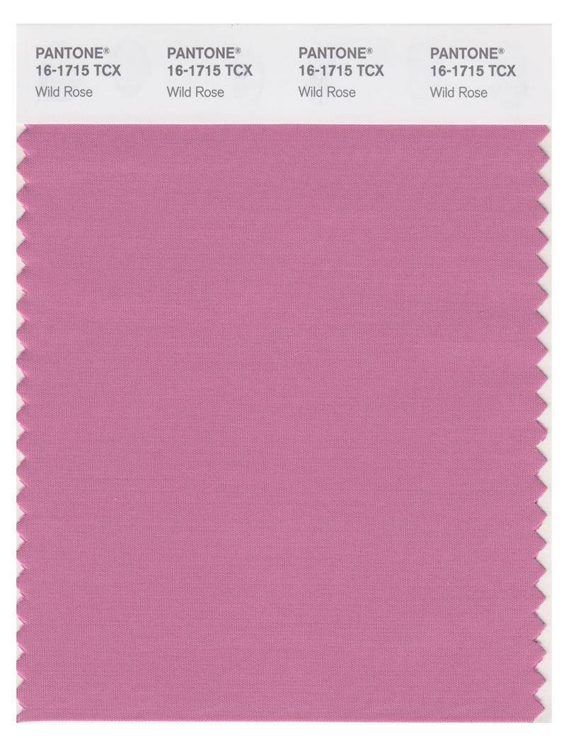 Pantone Smart 16-1715 TCX Color Swatch Card | Wild Rose | Magazine Cafe ...