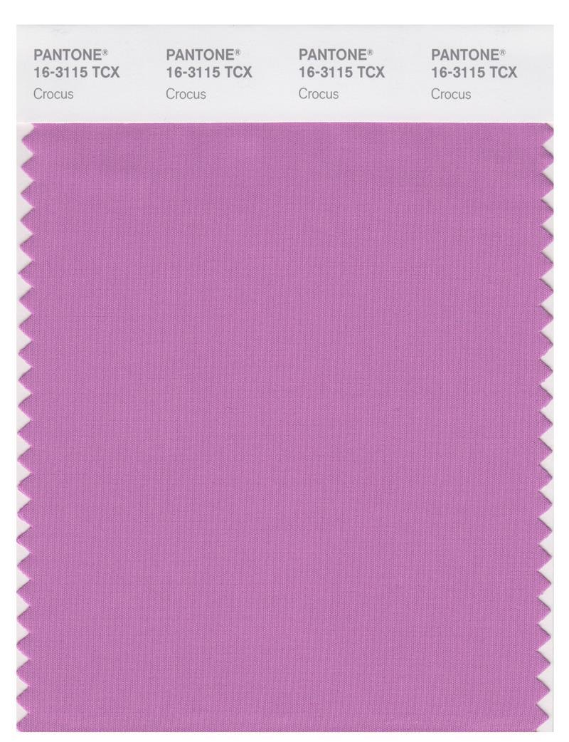 Pantone Smart 16-3115 TCX Color Swatch Card | Crocus | Magazine Cafe ... Pantone Smart 16-3115 TCX Color Swatch Card | Crocus | Magazine Cafe ...