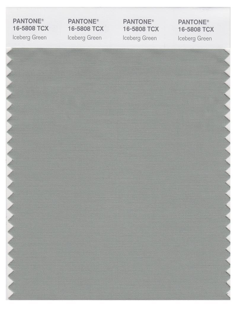 Pantone Smart 16-5808 TCX Color Swatch Card | Iceberg Green | Magazine ...