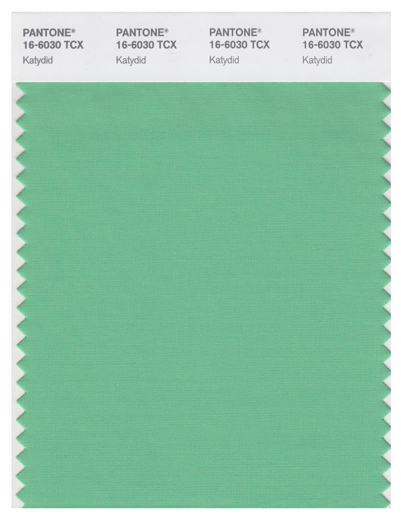 Pantone Smart 16-6030 TCX Color Swatch Card | Katydid | Magazine Cafe ...