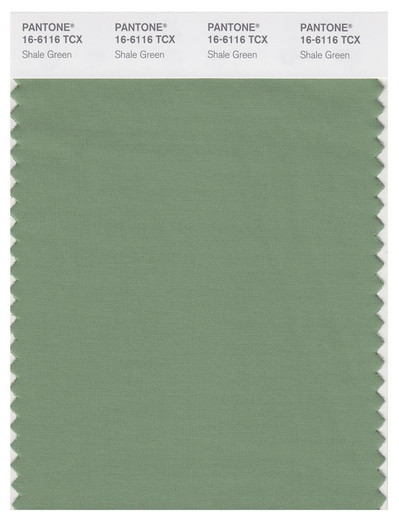 Pantone Smart 16-6116 TCX Color Swatch Card | Shale Green | Magazine ...