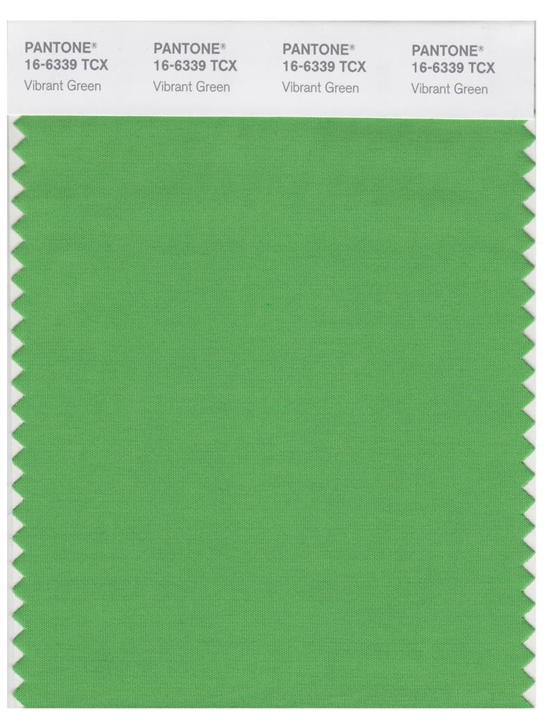 Pantone Smart 16-6339 TCX Color Swatch Card | Vibrant Green | Magazine ...