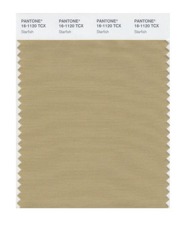 Pantone Smart 16-1120 TCX Color Swatch Card | Starfish | Magazine Cafe ...