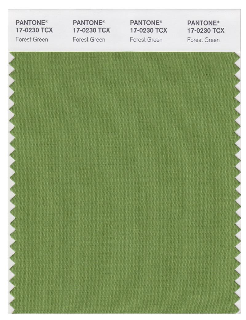 Pantone Smart 17-0230 TCX Color Swatch Card | Forest Green | Magazine ... Pantone Smart 17-0230 TCX Color Swatch Card | Forest Green | Magazine ...
