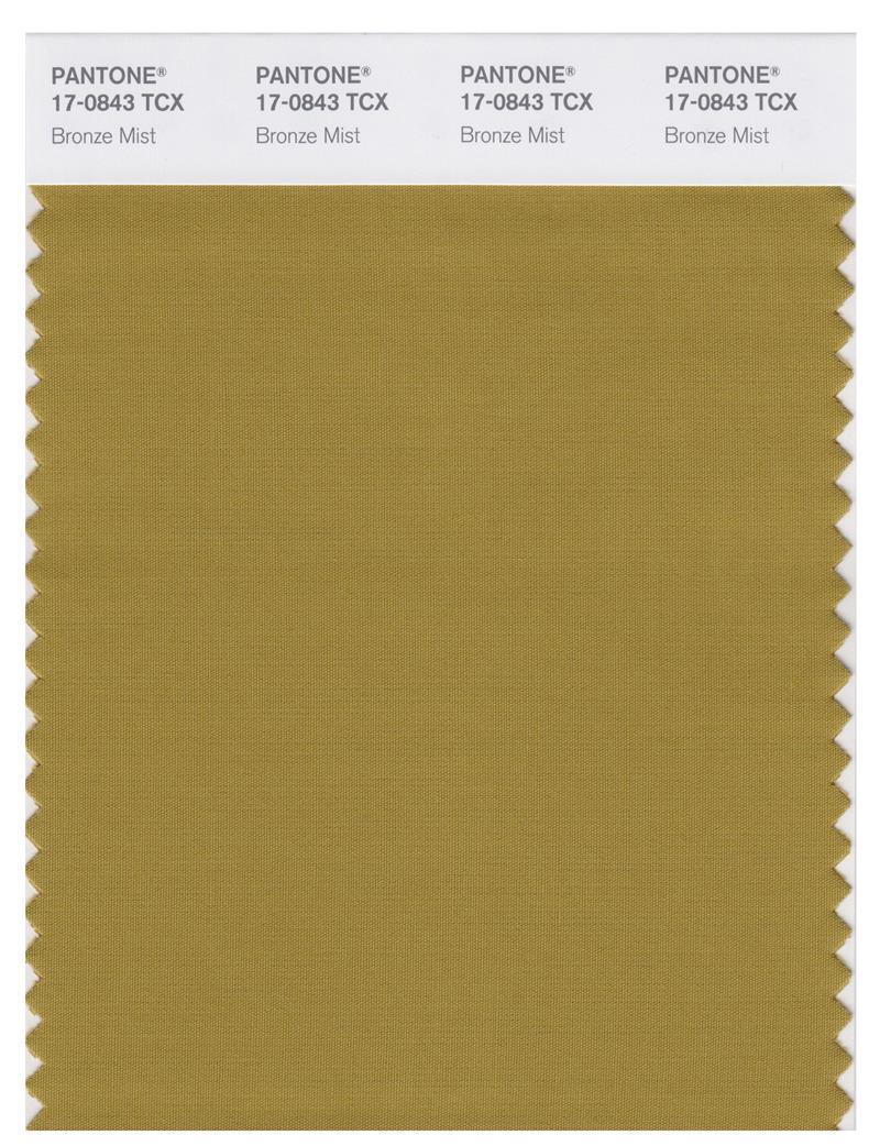 Pantone Smart 17-0843 TCX Color Swatch Card | Bronze Mist | Magazine ...