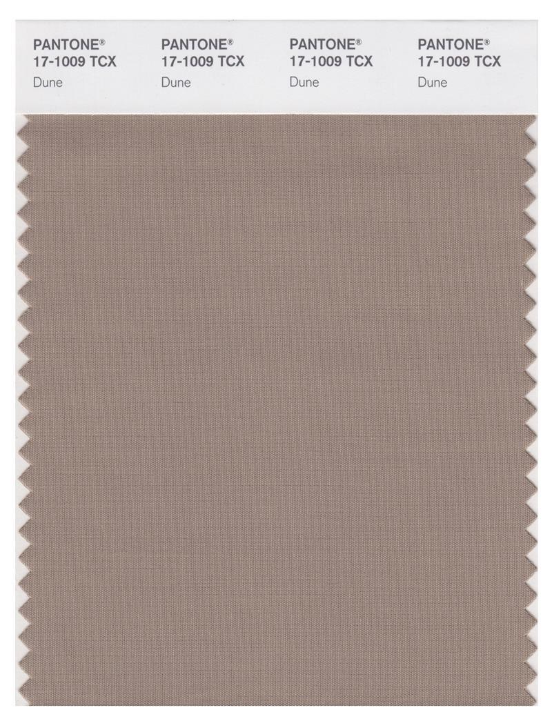 Pantone Smart 17-1009 TCX Color Swatch Card | Dune | Magazine Cafe ...