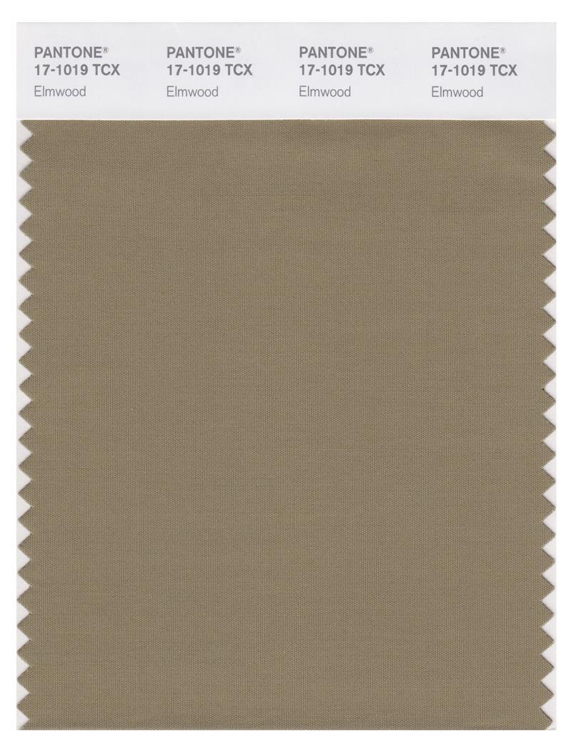 Pantone Smart 17-1019 TCX Color Swatch Card | Elmwood | Magazine Cafe ...