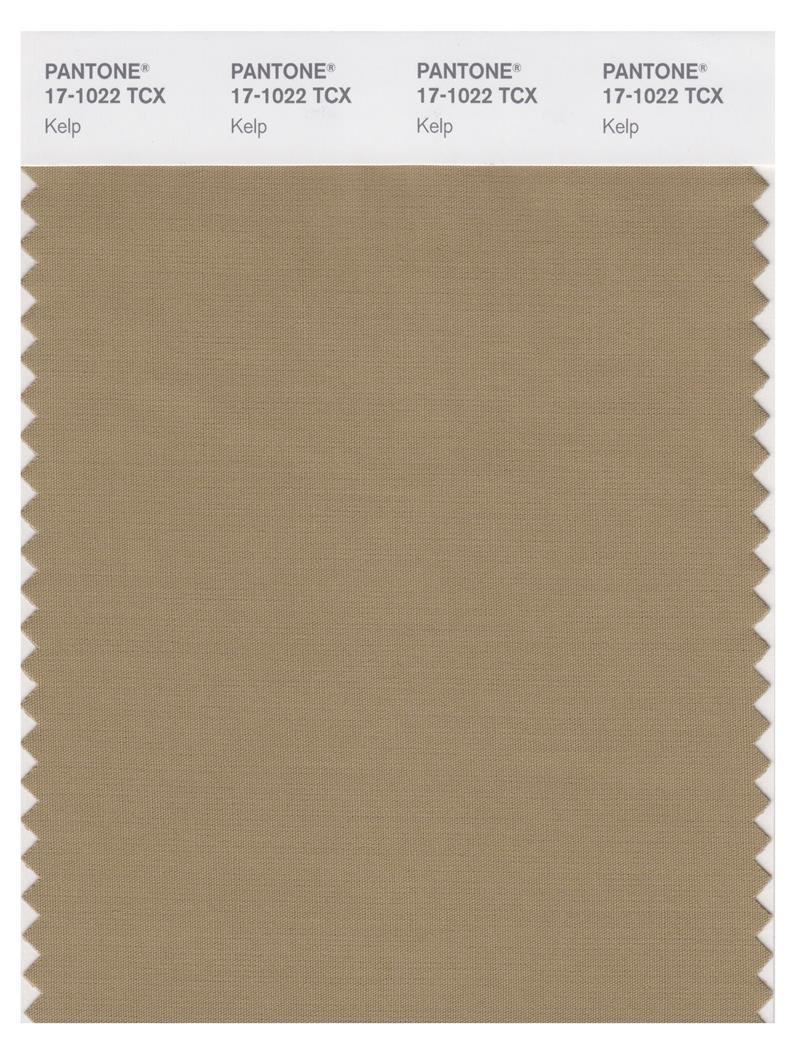 Pantone Smart 17-1022 TCX Color Swatch Card | Kelp | Magazine Cafe ...