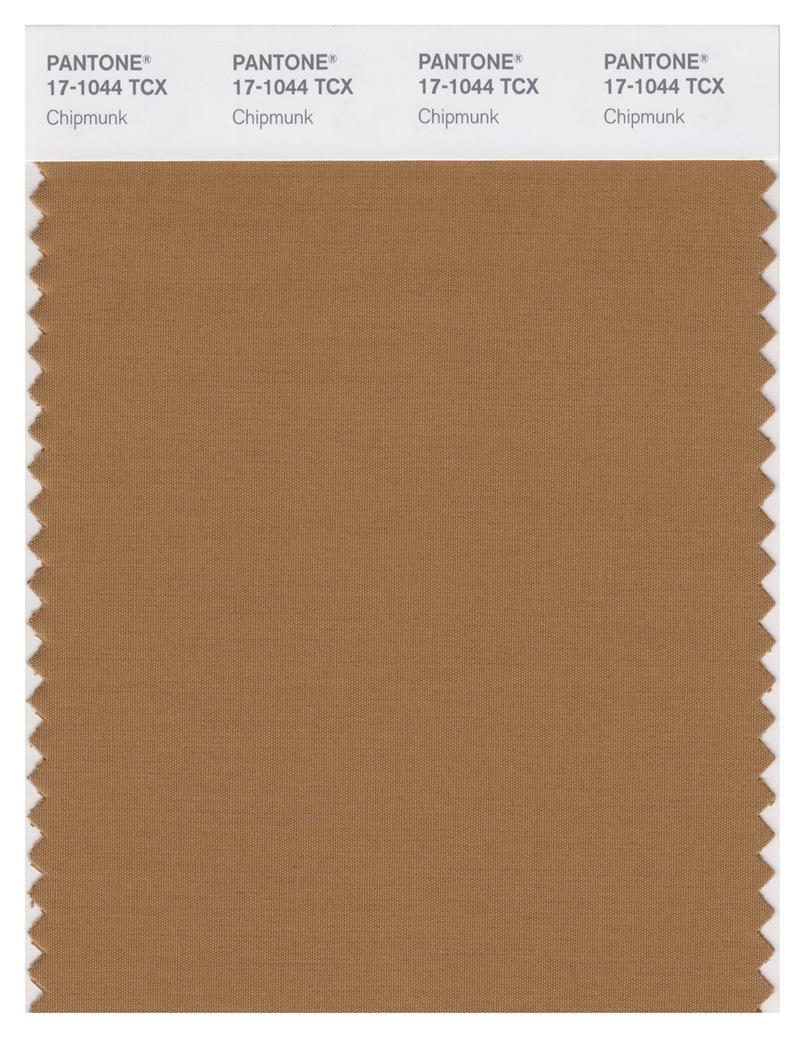 Pantone Smart 17- 1044 TCX Color Swatch Card | Chipmunk | Magazine Cafe ...