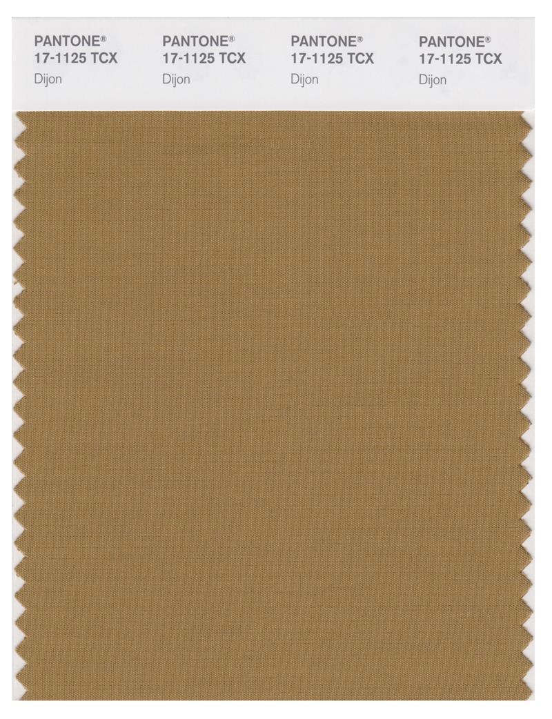Pantone Smart 17-1125 TCX Color Swatch Card | Dijon | Magazine Cafe ... Pantone Smart 17-1125 TCX Color Swatch Card | Dijon | Magazine Cafe ...