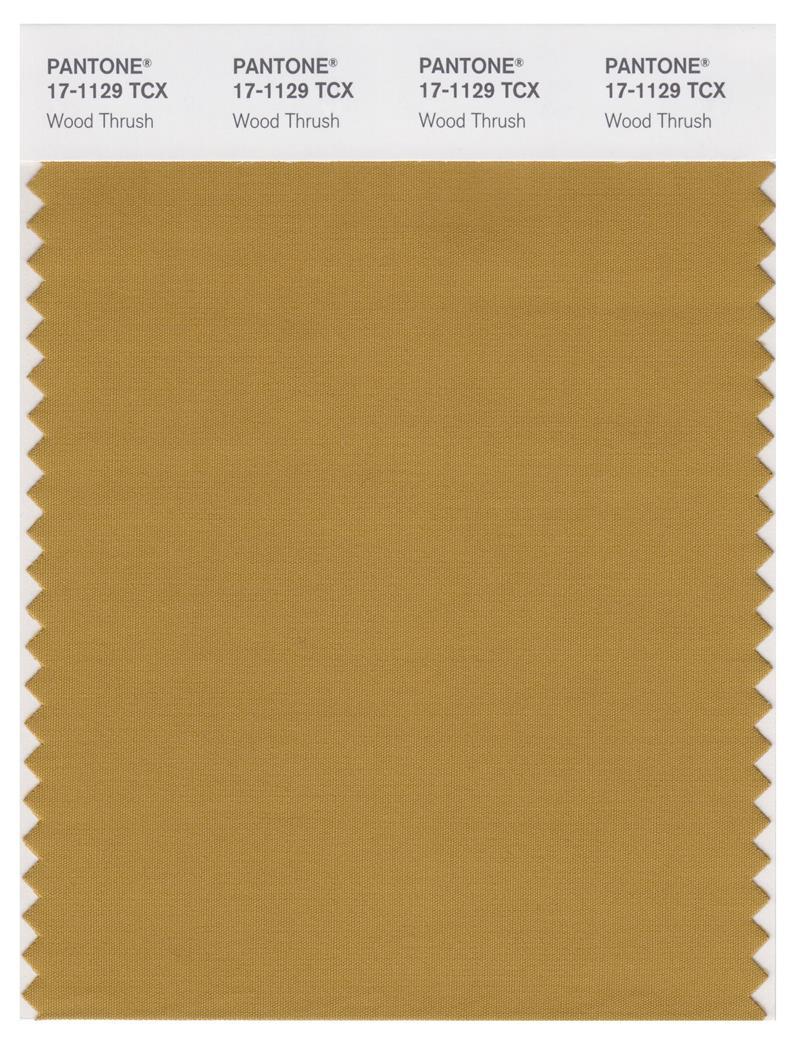 Pantone Smart 17-1129 TCX Color Swatch Card | Wood Thrush | Magazine ...