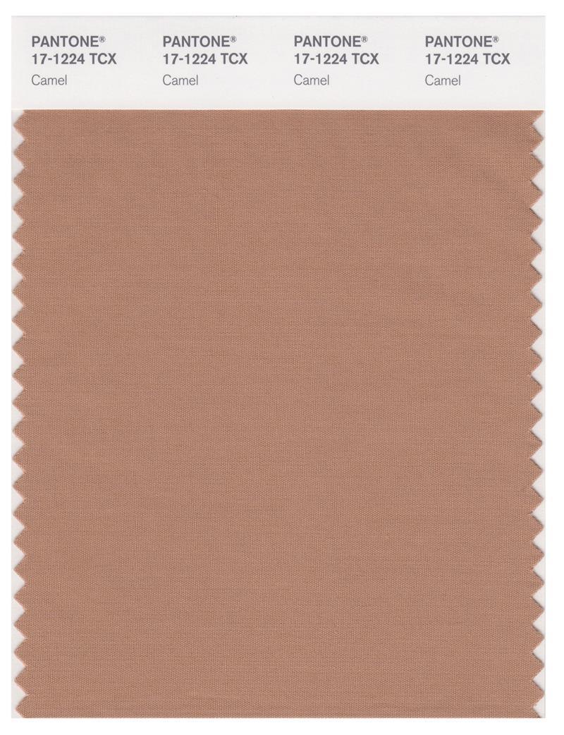 Pantone Smart 17-1224 TCX Color Swatch Card | Camel | Magazine Cafe ...