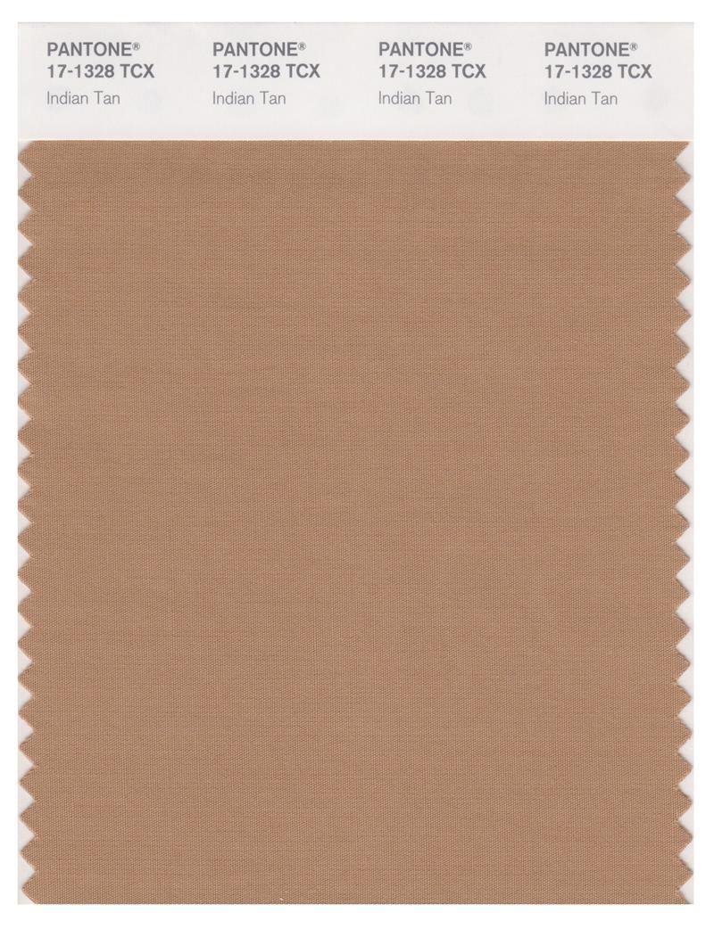 Pantone Smart 17-1328 TCX Color Swatch Card | Indian Tan | Magazine ...