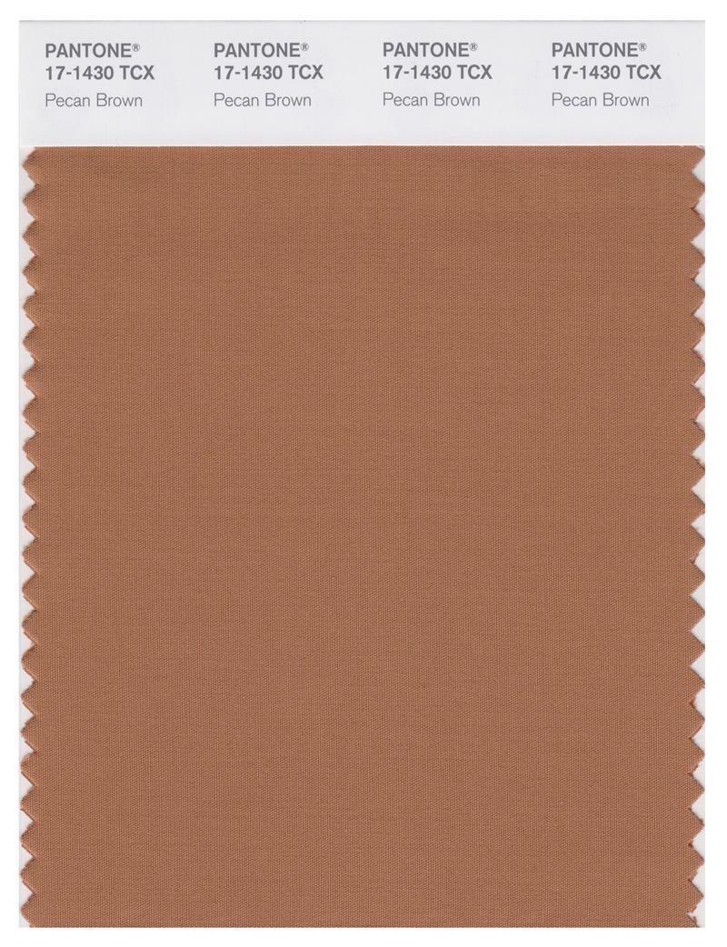 Pantone Smart 17-1430 TCX Color Swatch Card | Pecan Brown | Magazine ...