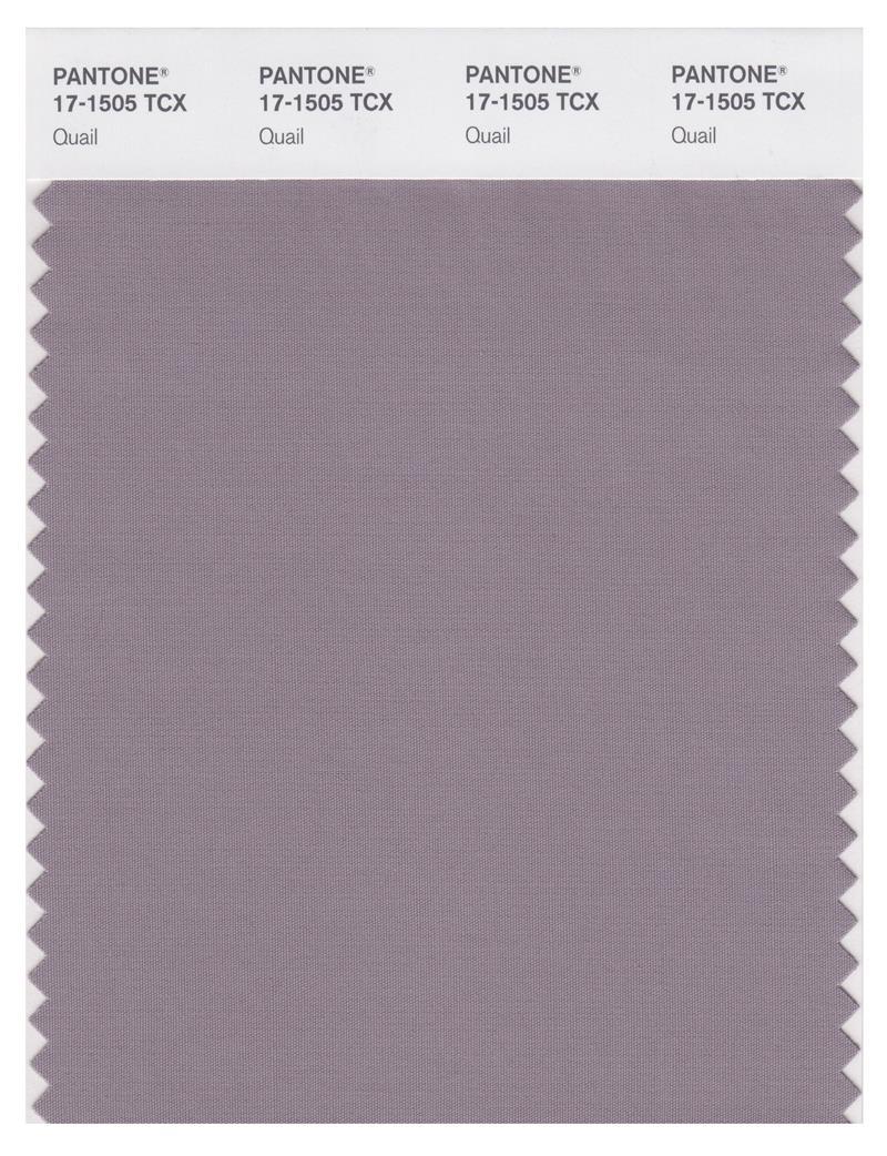 Pantone Smart 17-1505 TCX Color Swatch Card | Quail | Magazine Cafe ...