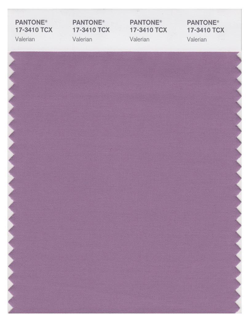 Pantone Smart 17-3410 TCX Color Swatch Card | Valerian | Magazine Cafe ...