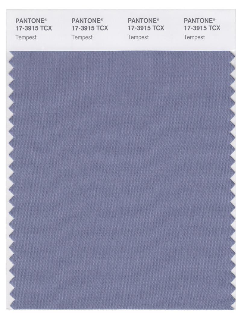 Pantone Smart 17-3915 TCX Color Swatch Card | Tempest | Magazine Cafe ...