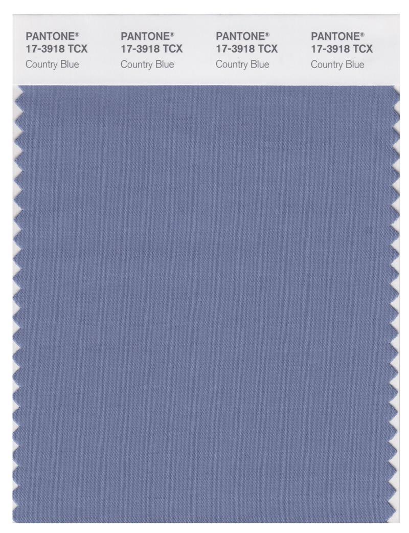 Pantone Smart 17-3918 TCX Color Swatch Card | Country Blue | Magazine ...
