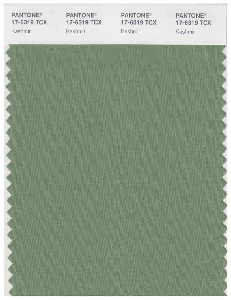 Pantone Smart 17-6319 TCX Color Swatch Card | Kashmir | Magazine Cafe ...
