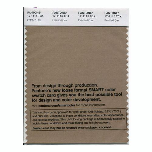 Pantone Smart 17-1115 TCX Color Swatch Card | Petrified Oak | Magazine ...
