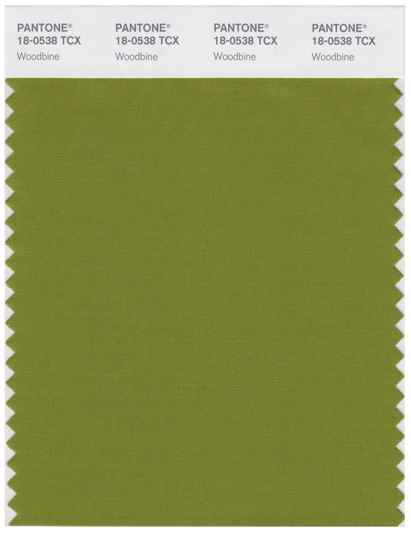 Pantone Smart 18-0538 TCX Color Swatch Card | Woodbine | Magazine Cafe ...