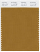 Pantone Smart 18-0940 TCX Color Swatch Card | Golden Brown | Magazine ...