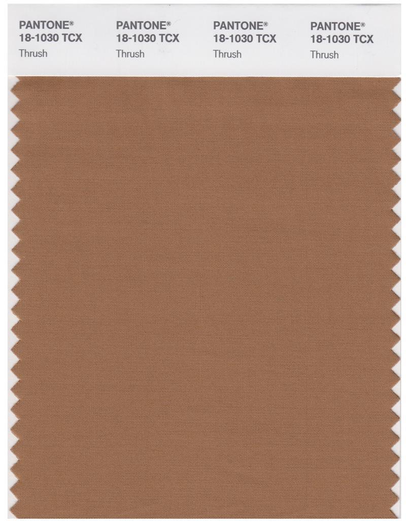 Pantone Smart 18-1030 TCX Color Swatch Card | Thrush | Magazine Cafe ...