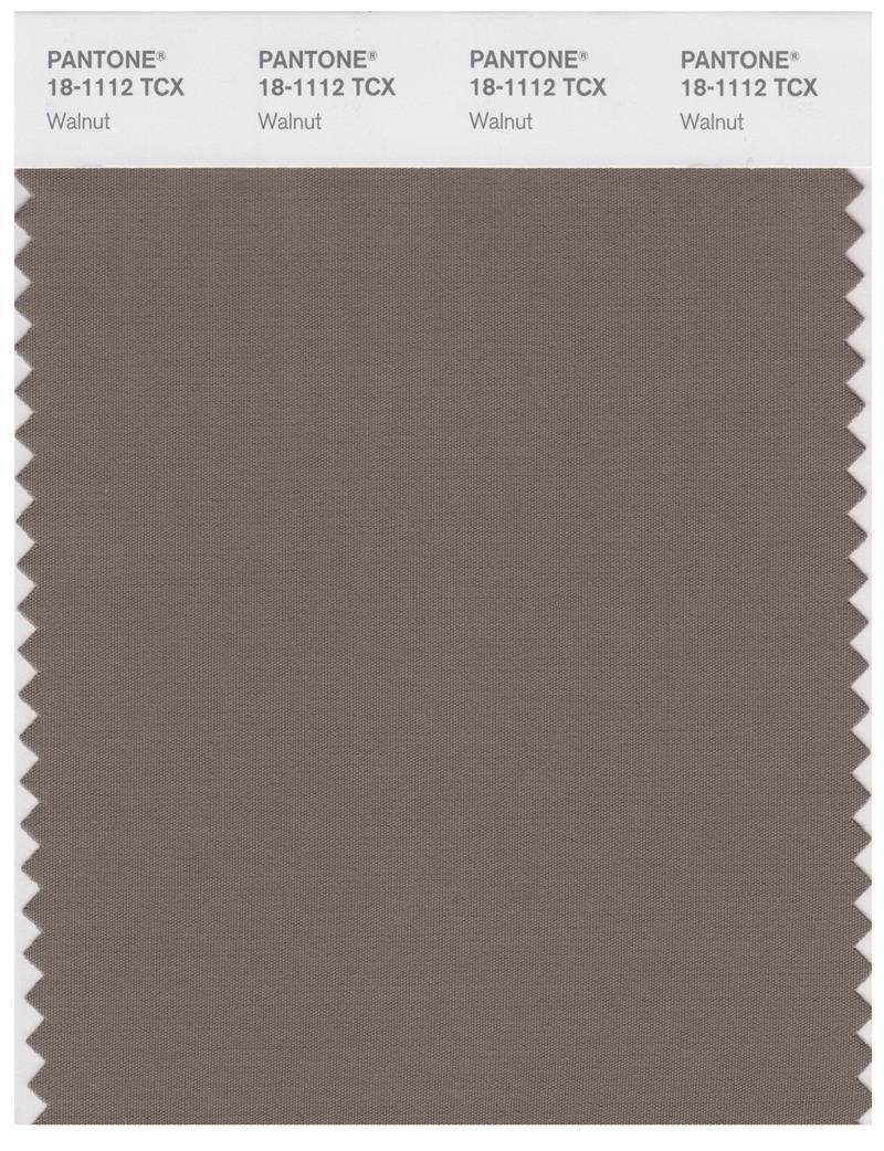 Pantone Smart 18-1112 TCX Color Swatch Card | Walnut | Magazine Cafe ...
