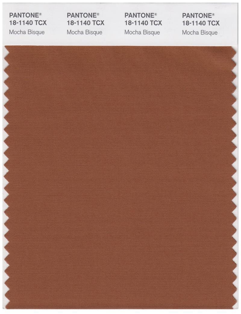 Pantone Smart 18-1140 TCX Color Swatch Card | Mocha Bisque | Magazine ...