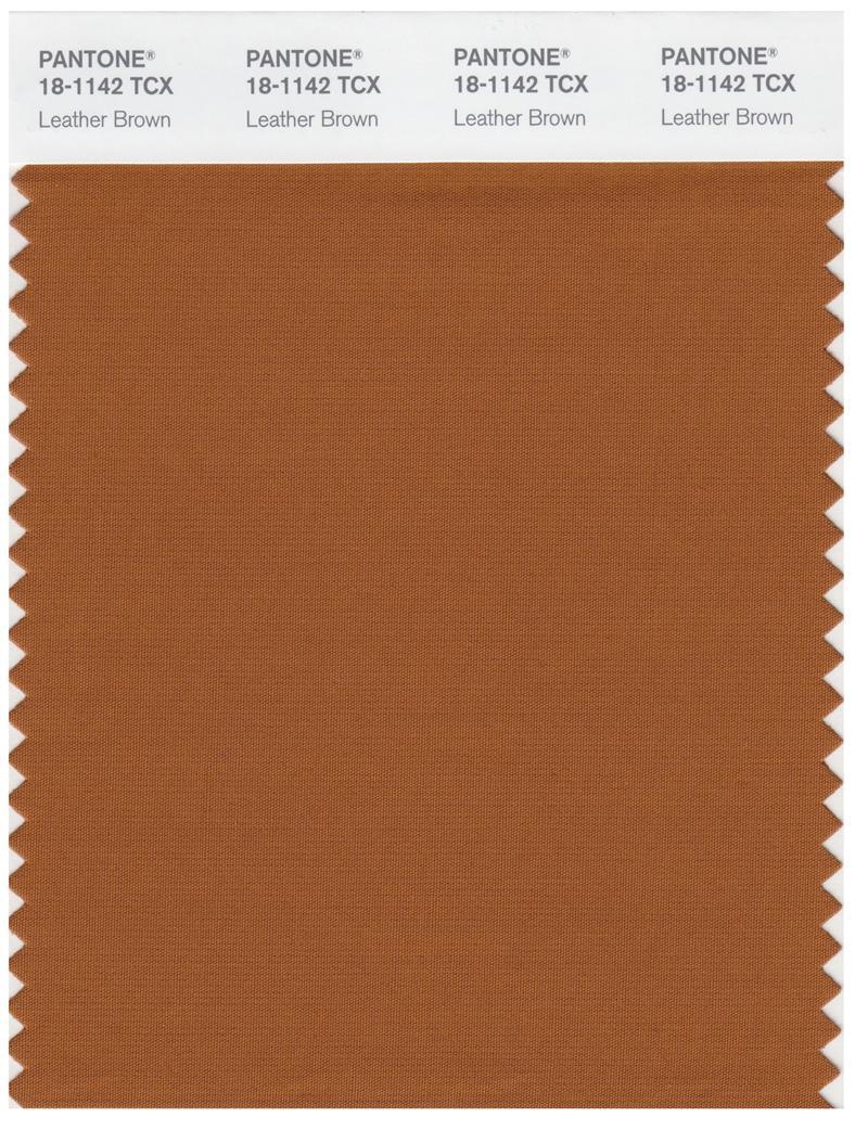 Pantone Smart 18-1142 TCX Color Swatch Card | Leather Brown | Magazine ...