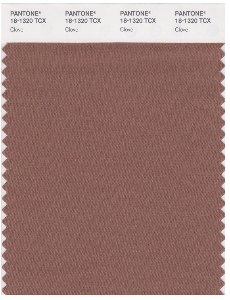 Pantone Smart 18-1320 TCX Color Swatch Card | Clove | Magazine Cafe ...