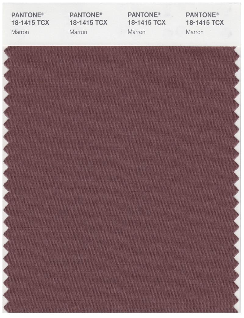 Pantone Smart 18-1415 TCX Color Swatch Card | Marron | Magazine Cafe ...