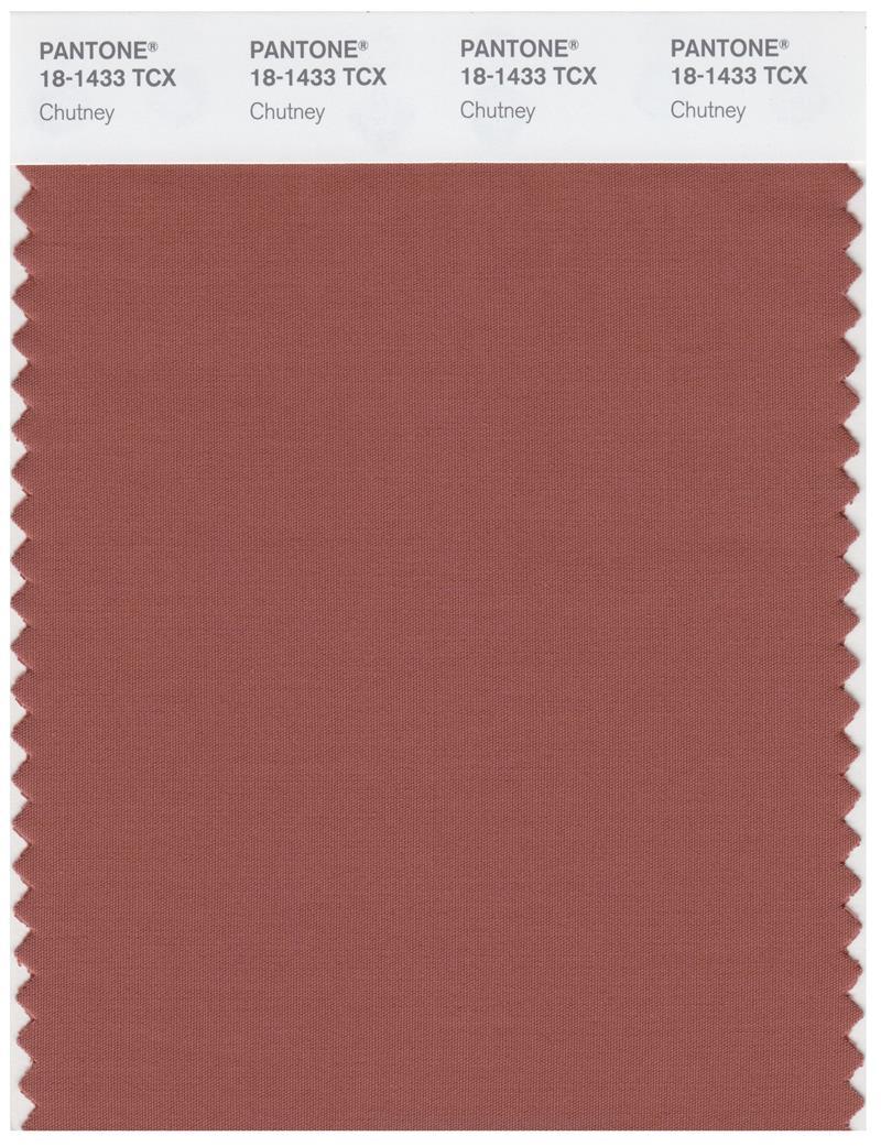 Pantone Smart 18-1433 TCX Color Swatch Card | Chutney | Magazine Cafe ...