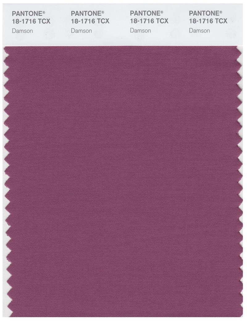Pantone Smart 18-1716 TCX Color Swatch Card | Damson | Magazine Cafe ...