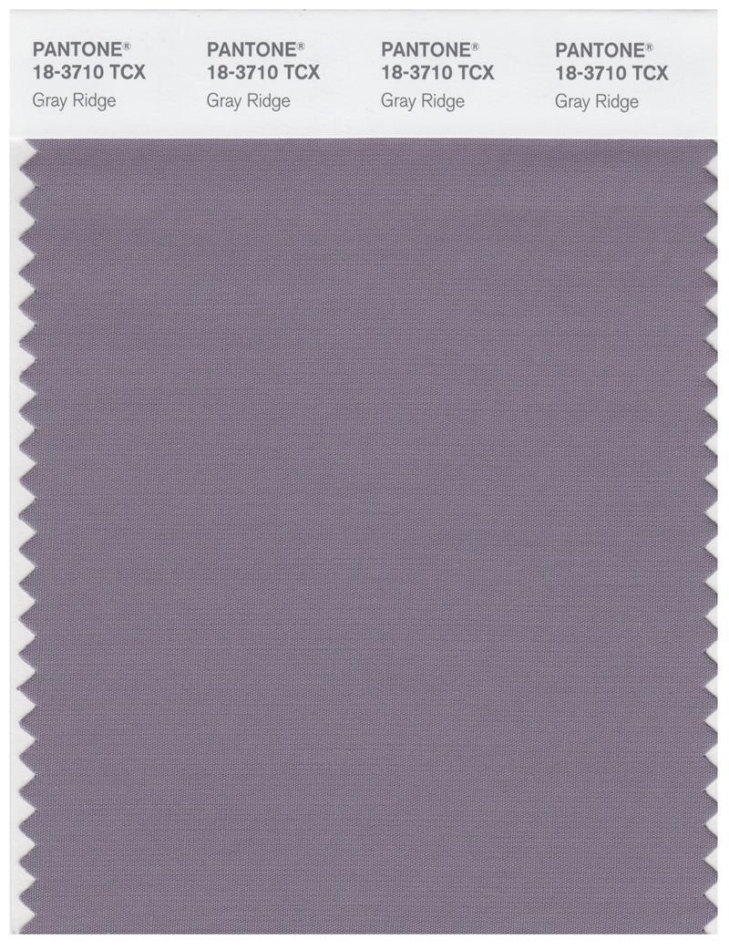 Pantone Smart 18-3710 TCX Color Swatch Card | Gray Ridge | Magazine ...