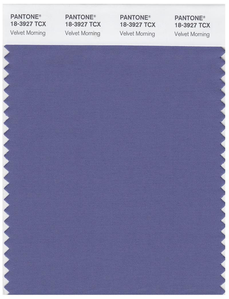 Pantone Smart 18-3927 TCX Color Swatch Card | Velvet Morning | Magazine ...
