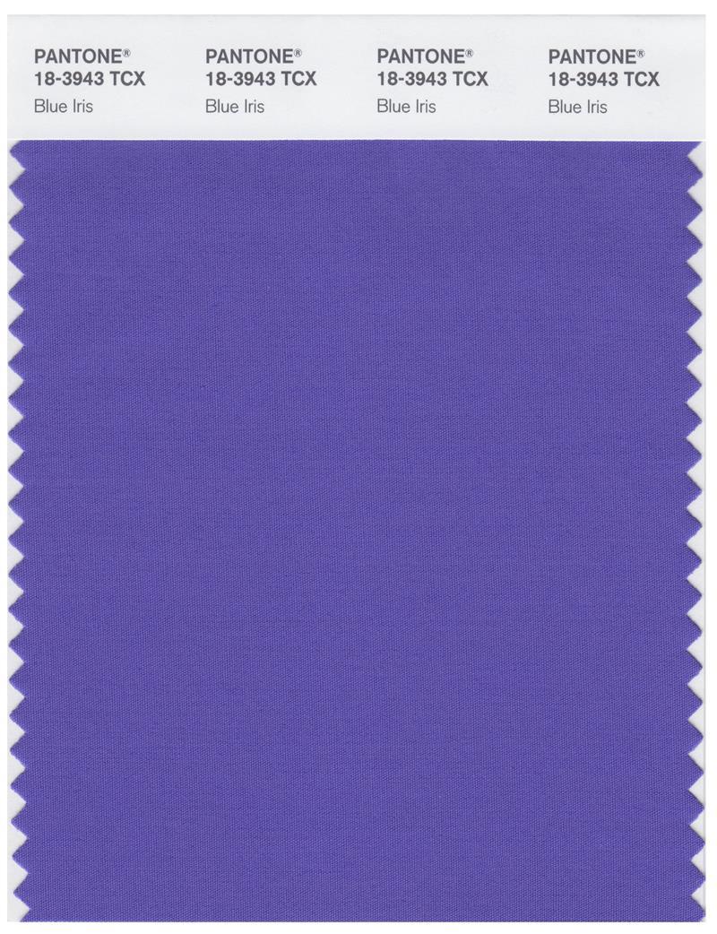Pantone Smart 18-3943 TCX Color Swatch Card | Blue Iris | Magazine Cafe ...