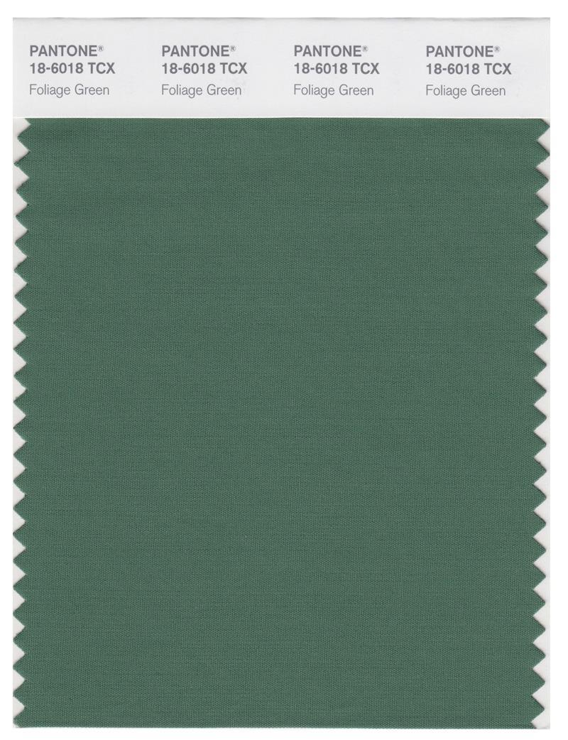 Pantone Smart 18-6018 TCX Color Swatch Card | Foliage Green | Magazine ...