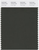 Pantone Smart 19-0414 TCX Color Swatch Card | Forest Night | Magazine ...