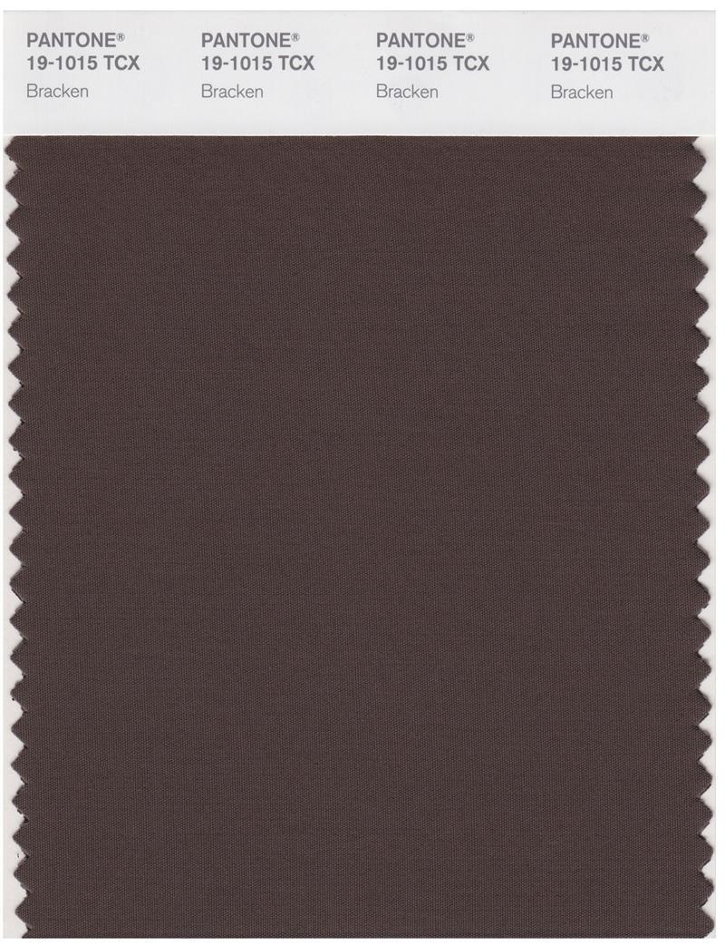 Pantone Smart 19-1015 TCX Color Swatch Card | Bracken | Magazine Cafe ...